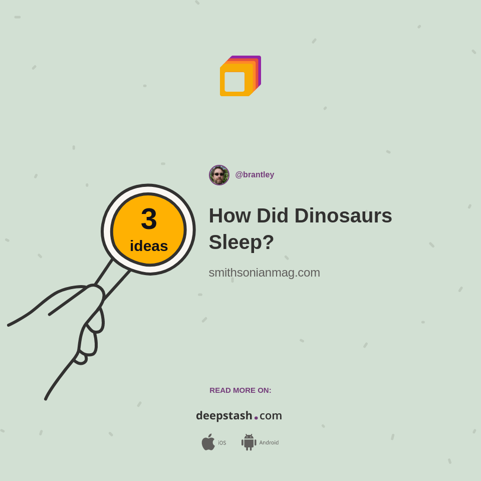 How Did Dinosaurs Sleep? - Deepstash