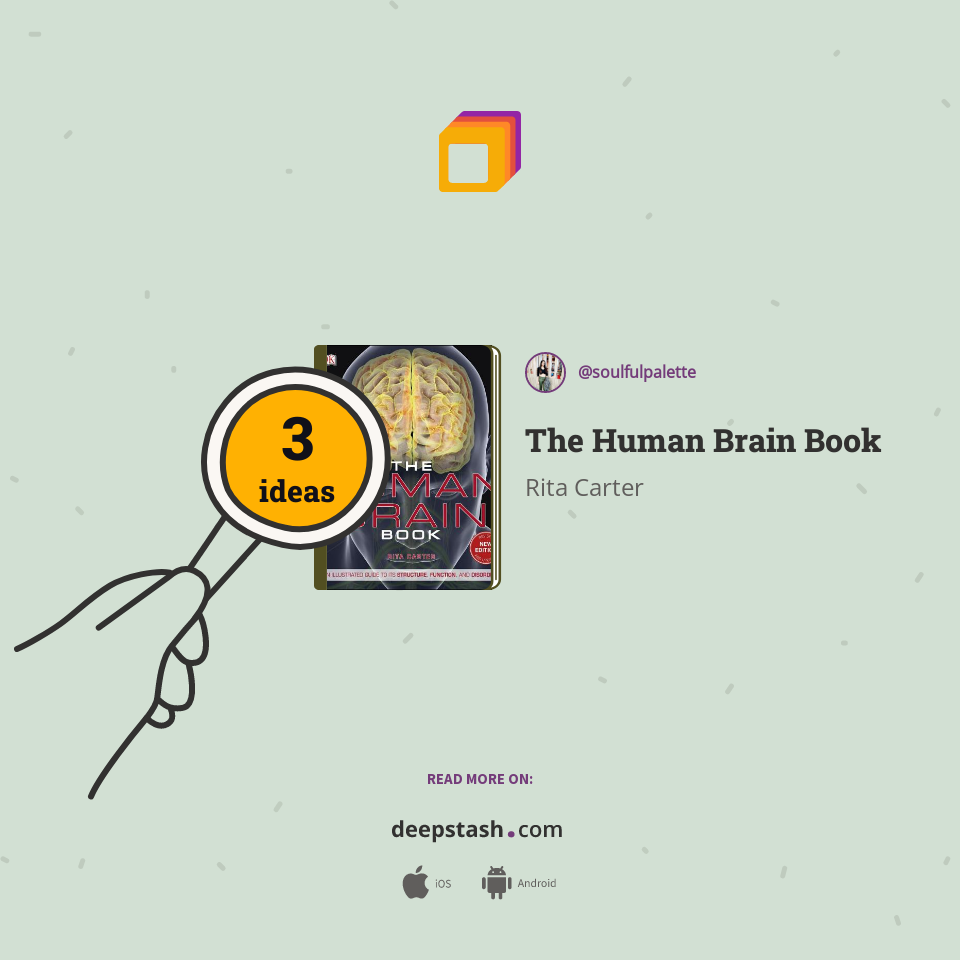 The Human Brain Book - Deepstash
