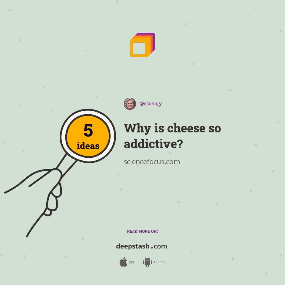 Why is cheese so addictive? | Deepstash