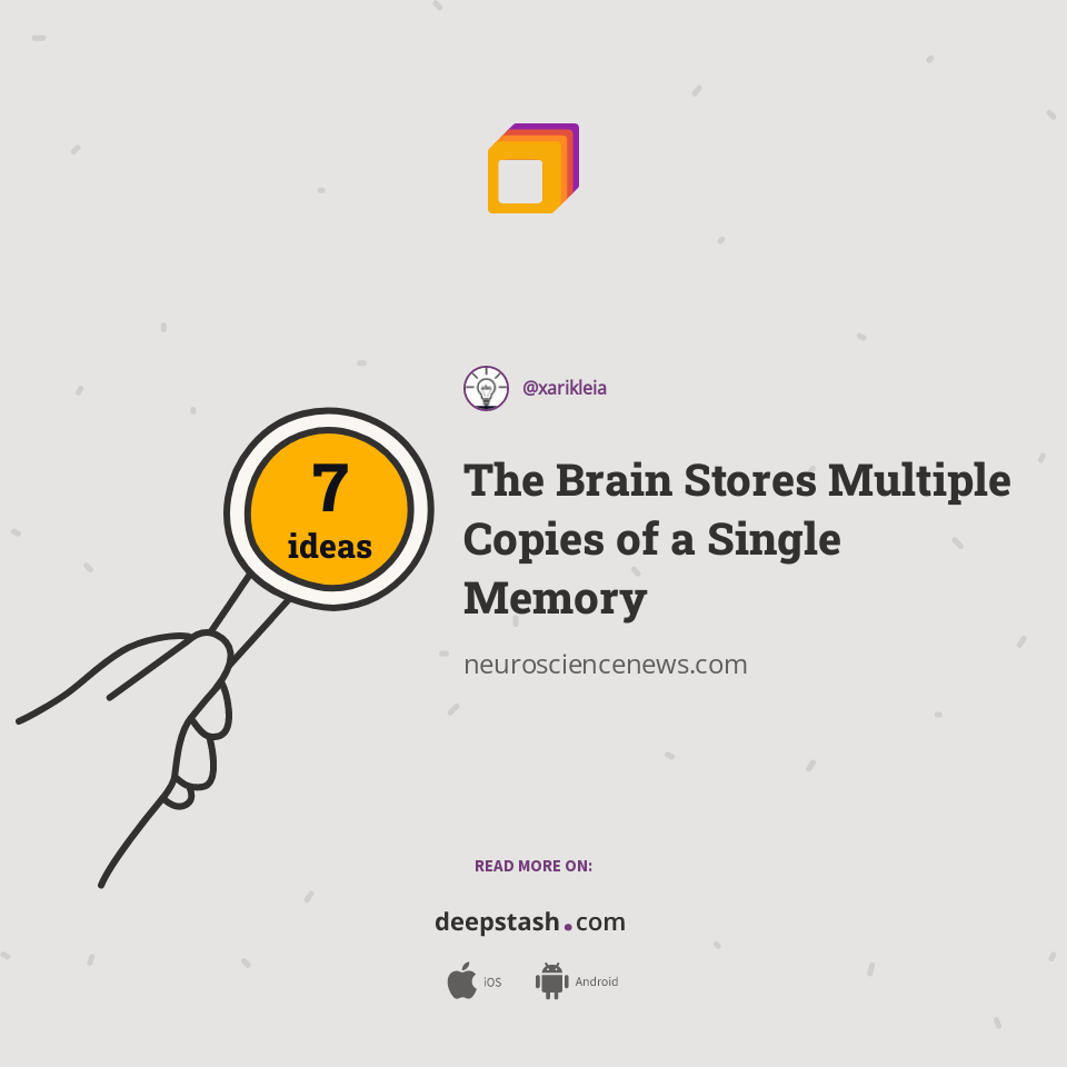 The Brain Stores Multiple Copies of a Single Memory | Deepstash