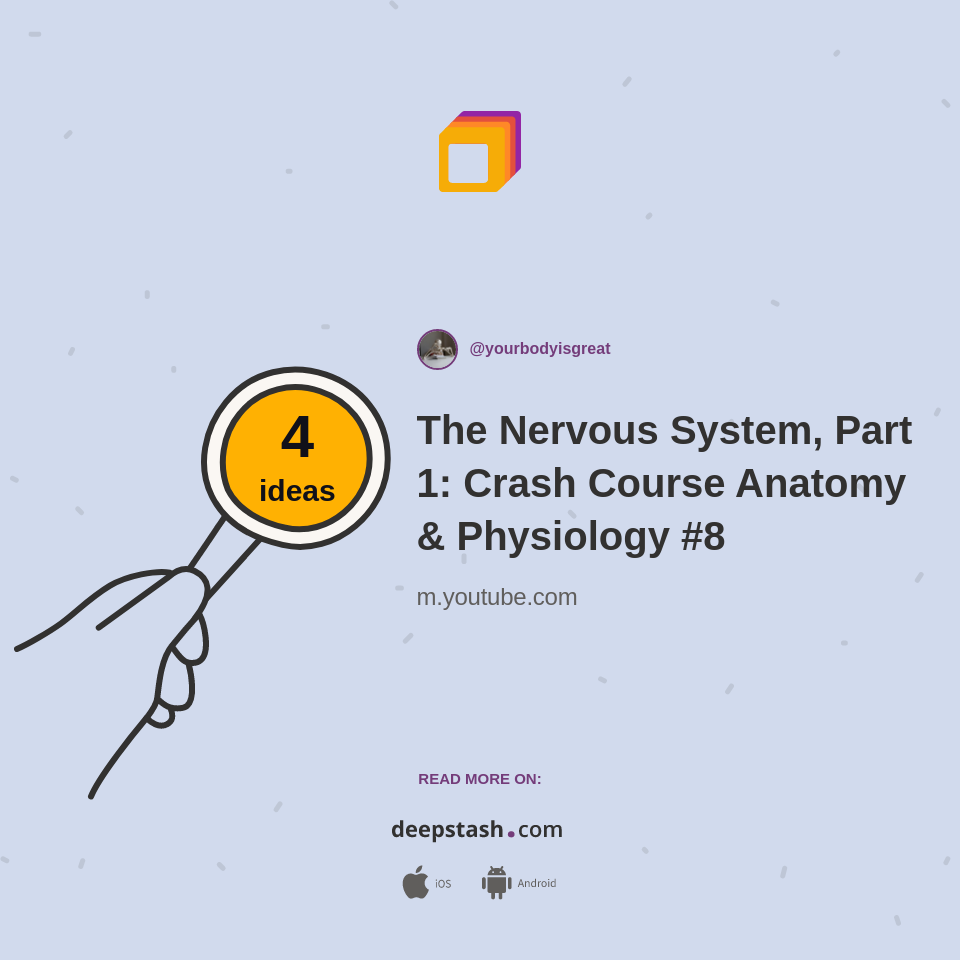 The Nervous System, Part 1: Crash Course Anatomy & Physiology #8 ...