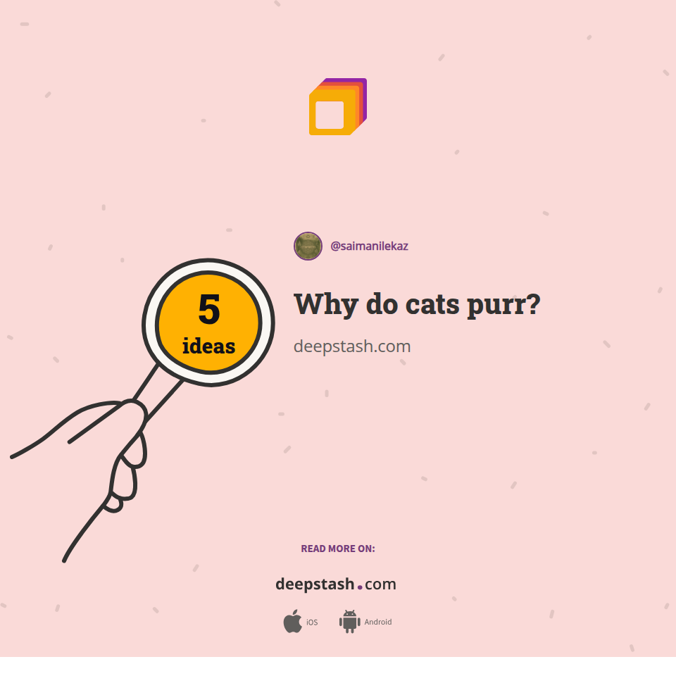 Why do cats purr? | Deepstash
