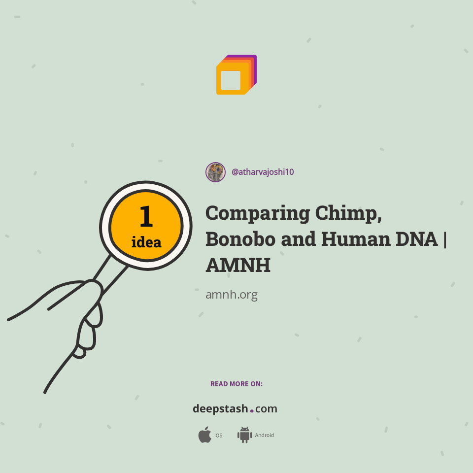 Comparing Chimp, Bonobo and Human DNA | AMNH - Deepstash