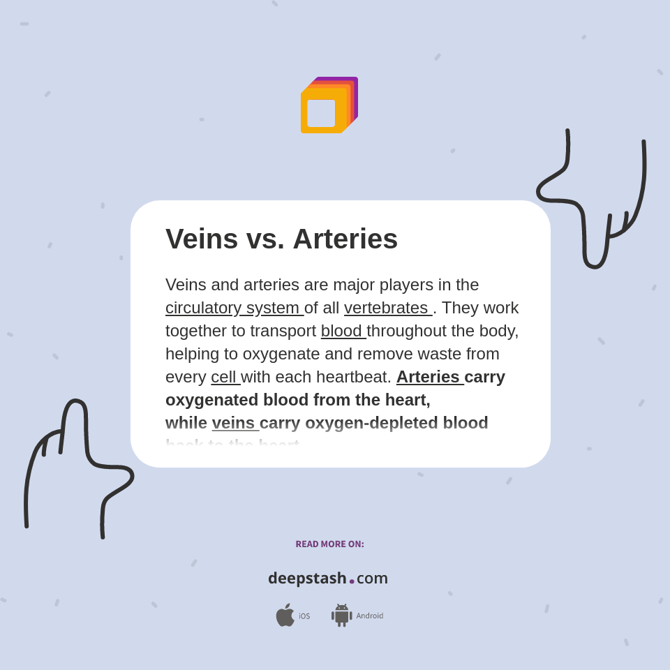 Veins vs. Arteries - Deepstash