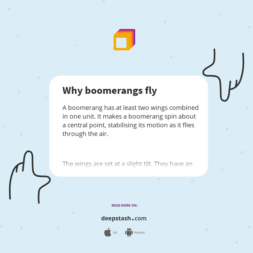Why boomerangs fly - Deepstash