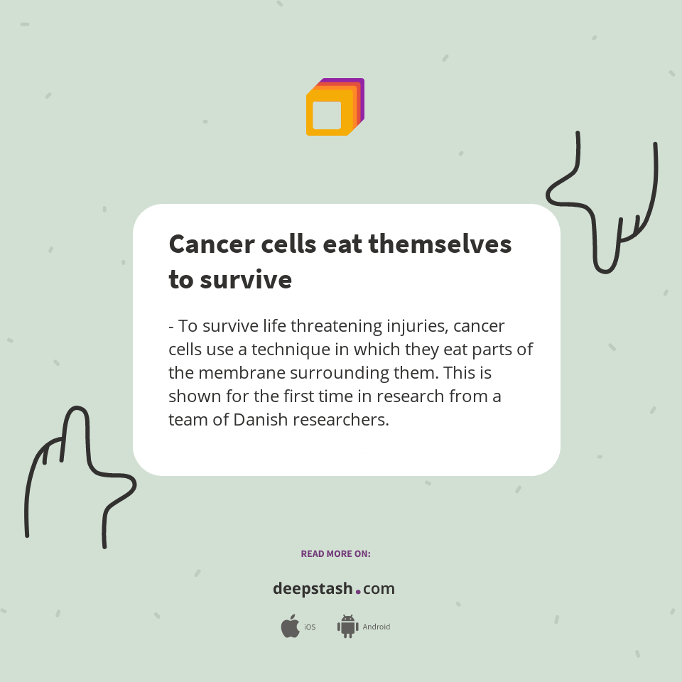 Cancer cells eat themselves to survive - Deepstash