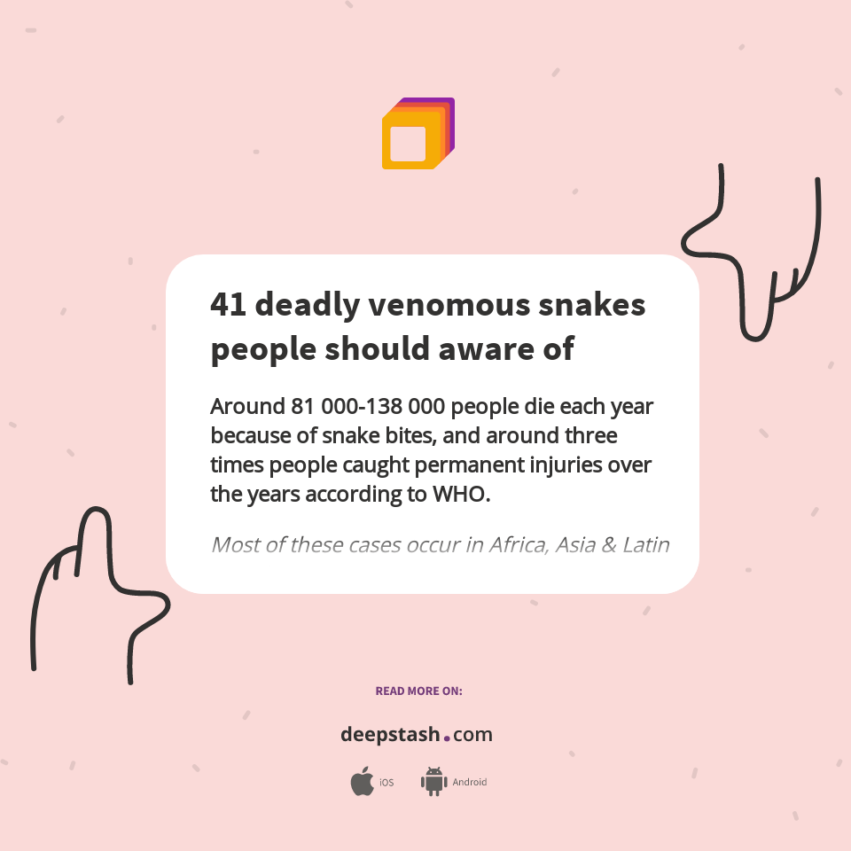 41 deadly venomous snakes people should aware of - Deepstash
