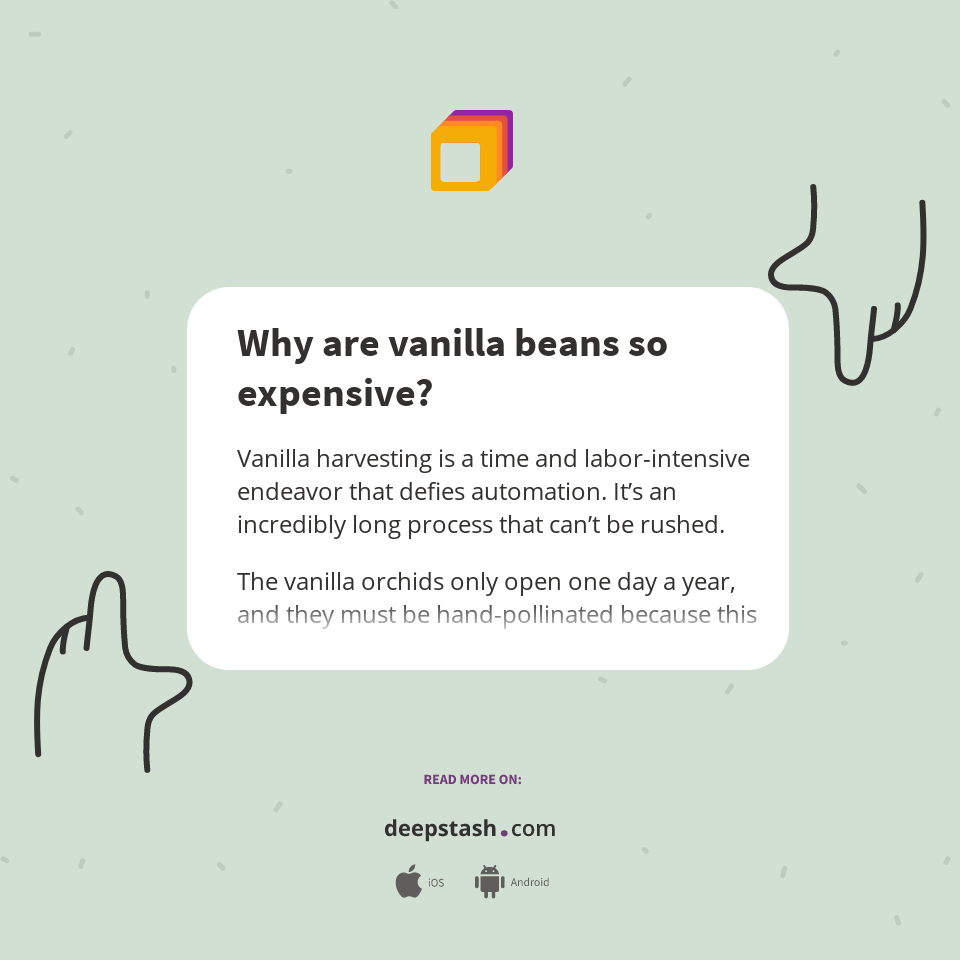 Why are vanilla beans so expensive? - Deepstash