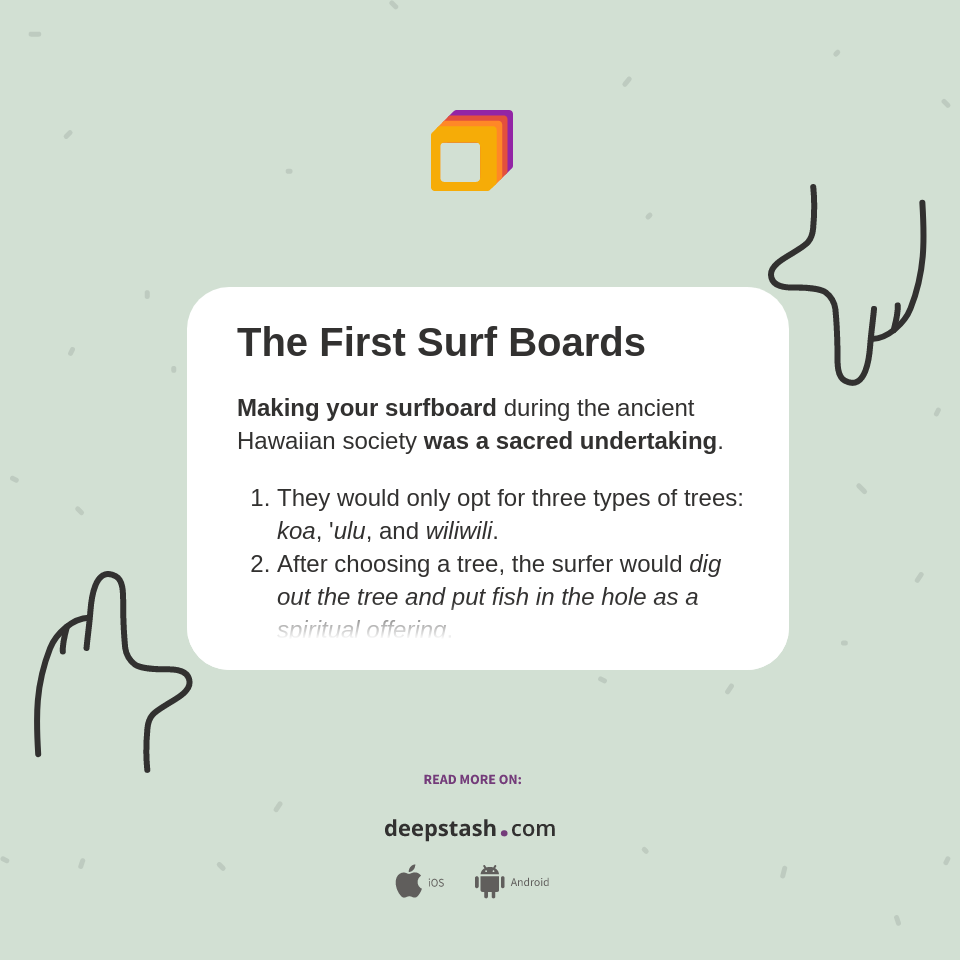 The First Surf Boards - Deepstash