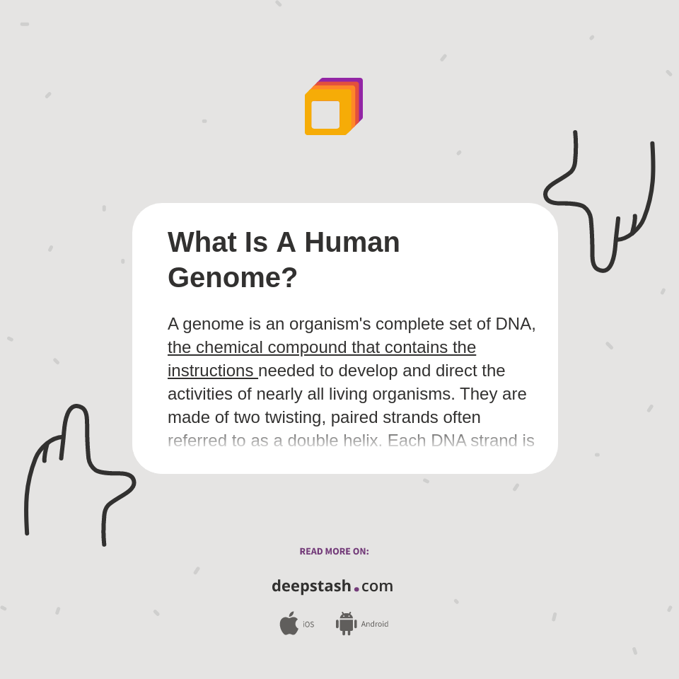 What Is A Human Genome? - Deepstash