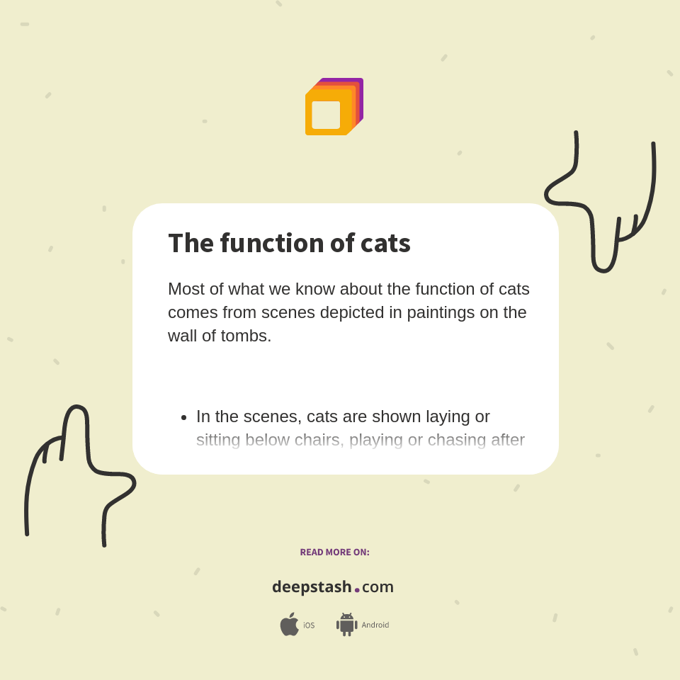 The function of cats - Deepstash