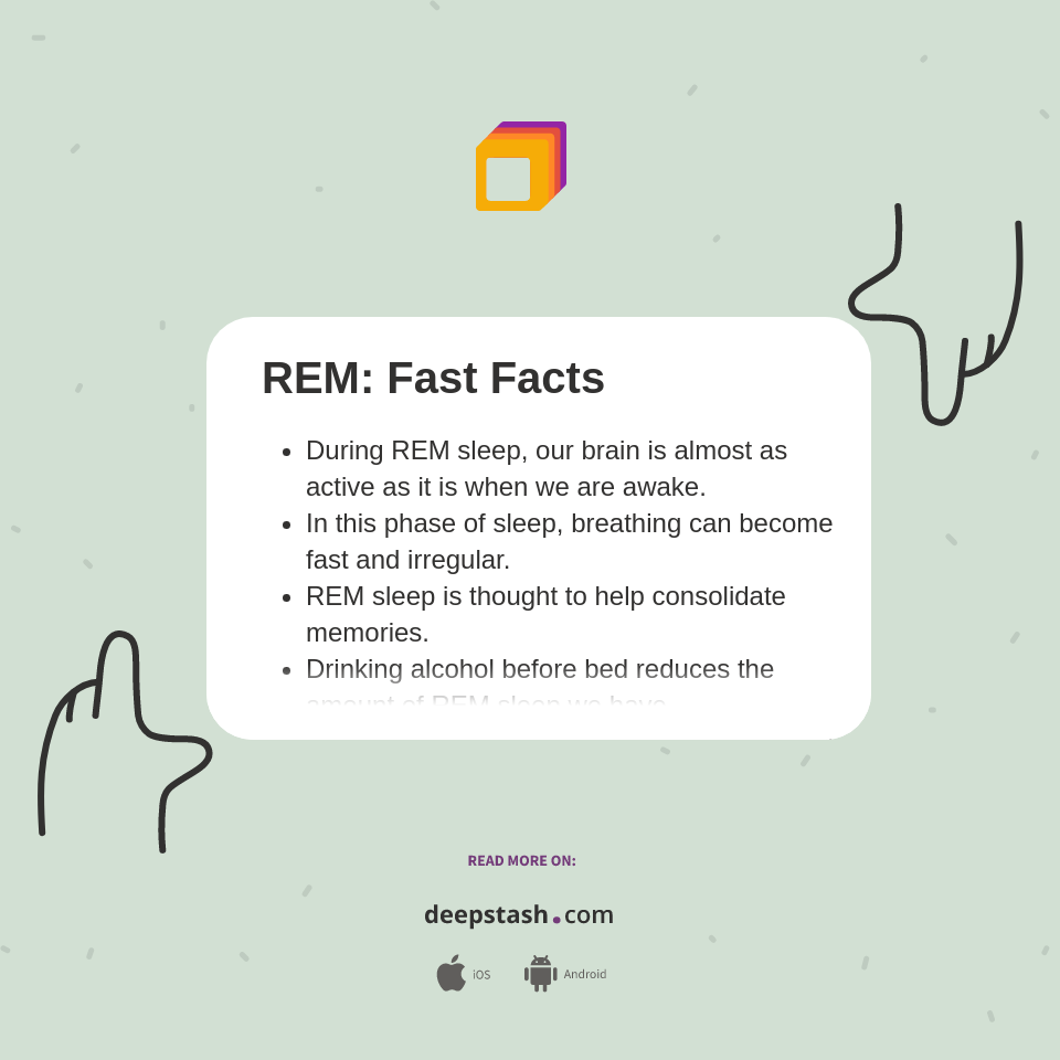 REM: Fast Facts - Deepstash