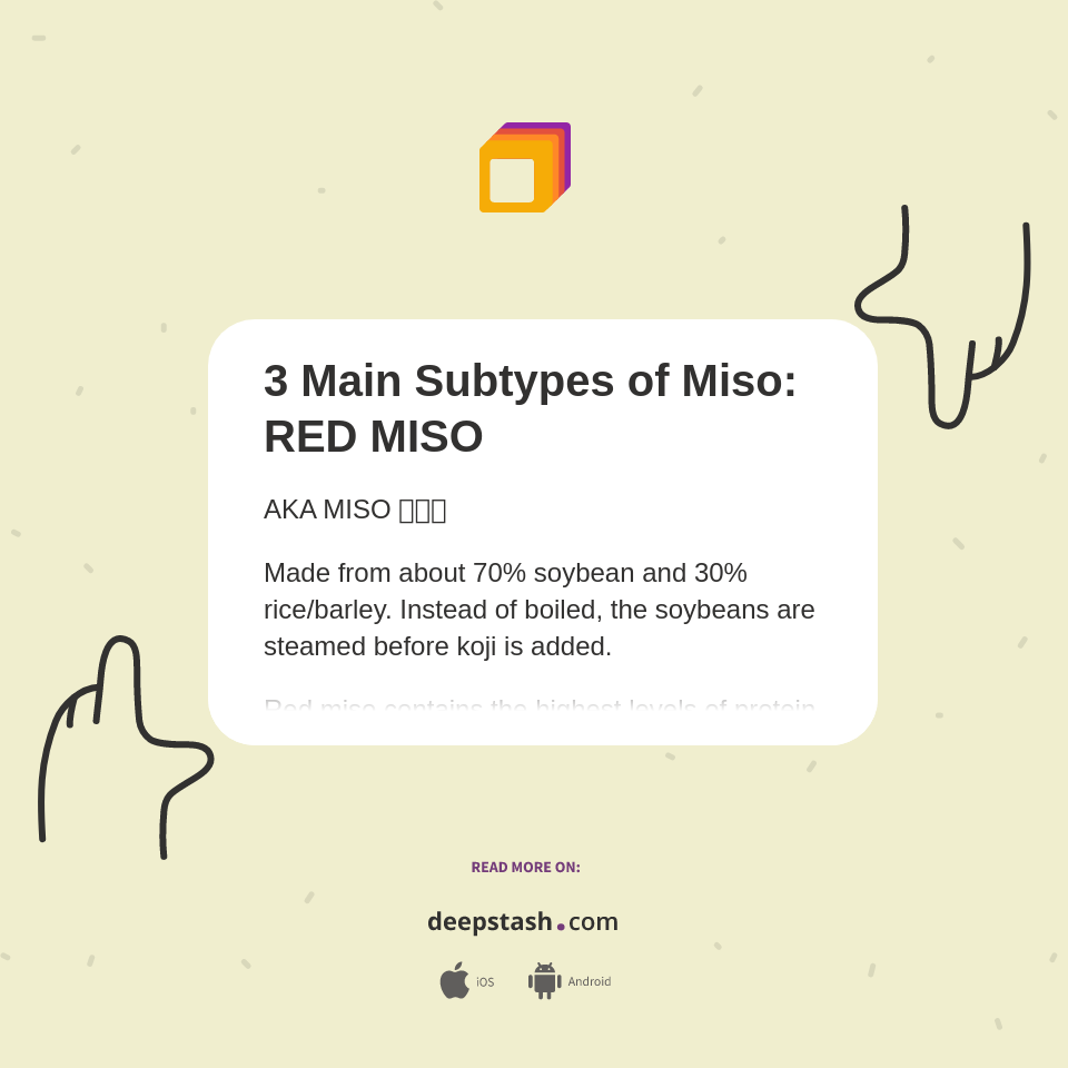 3 Main Subtypes of Miso: RED MISO - Deepstash