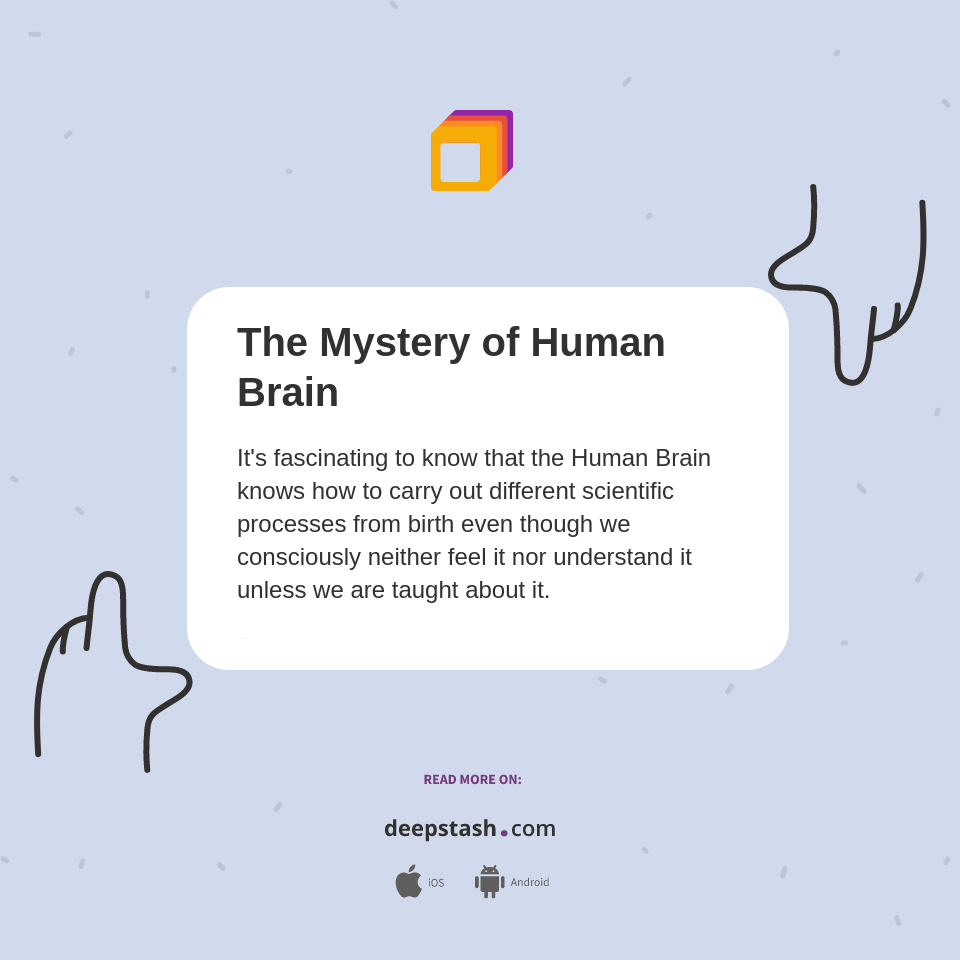 The Mystery of Human Brain - Deepstash