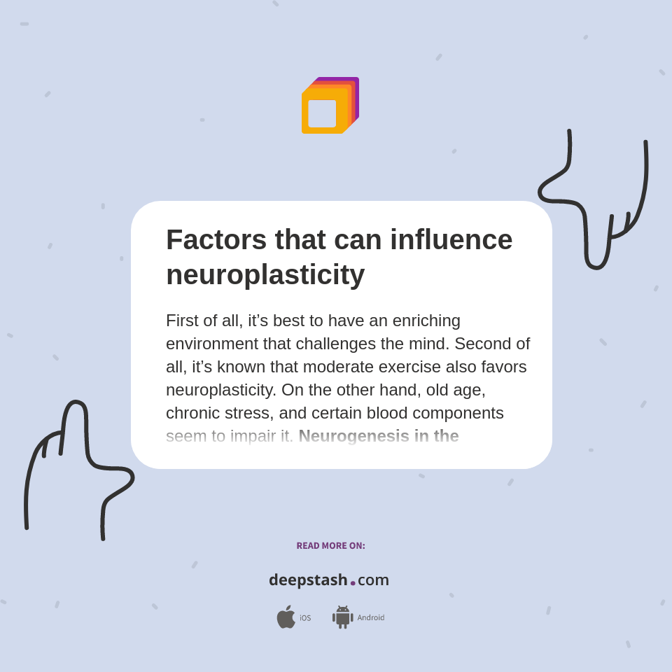 Factors that can influence neuroplasticity - Deepstash