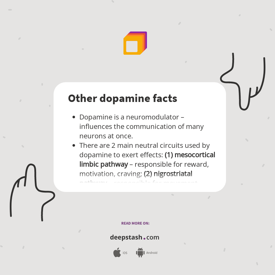 Other dopamine facts - Deepstash