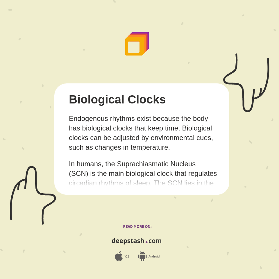 Biological Clocks - Deepstash