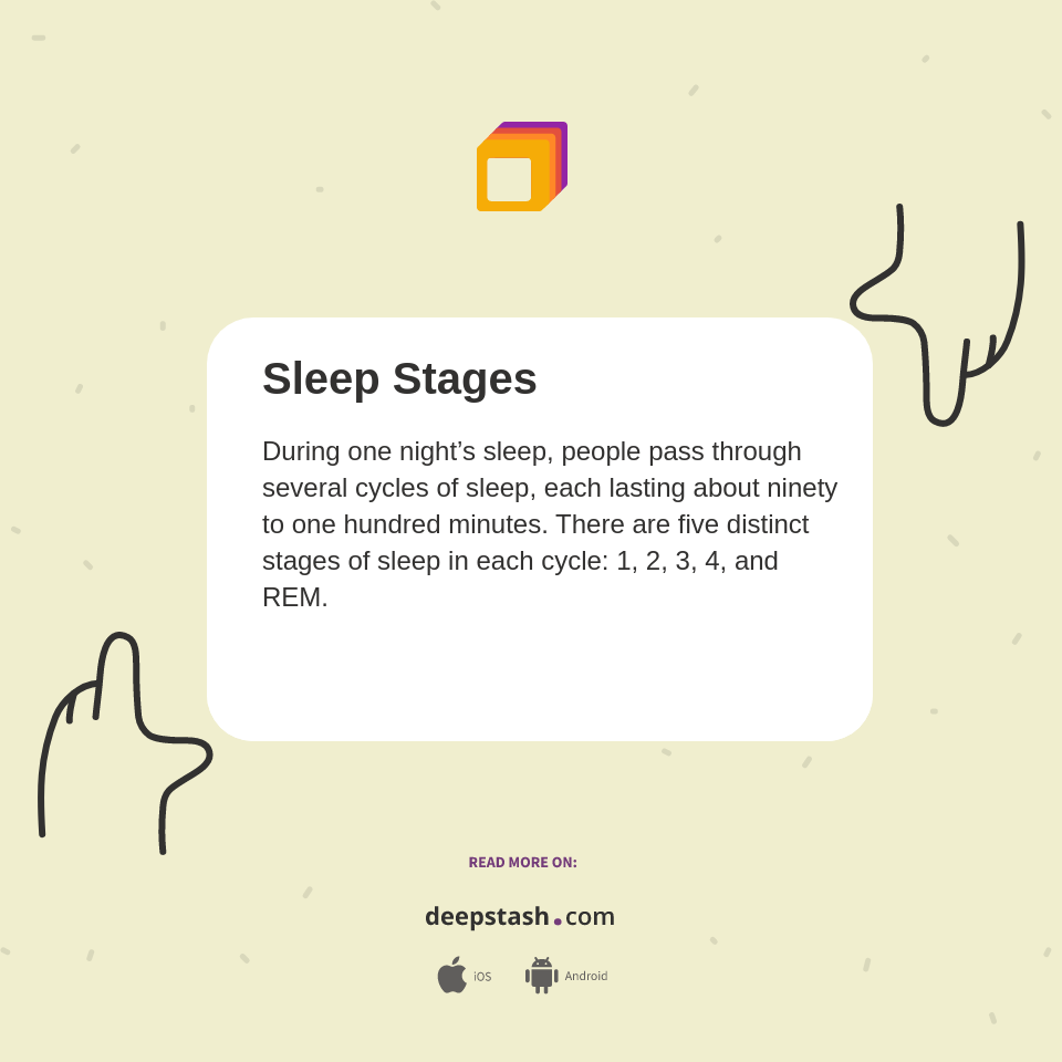 Sleep Stages - Deepstash