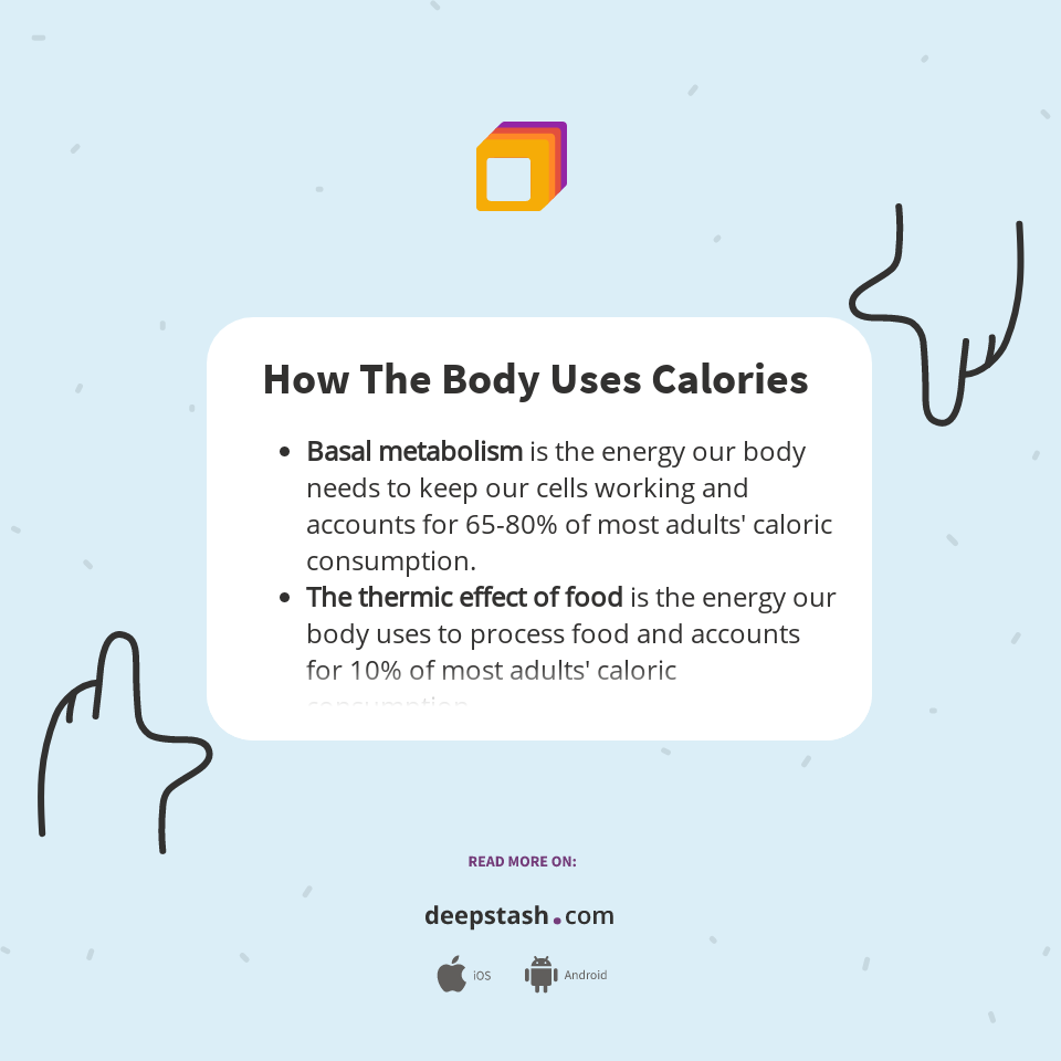 How The Body Uses Calories - Deepstash