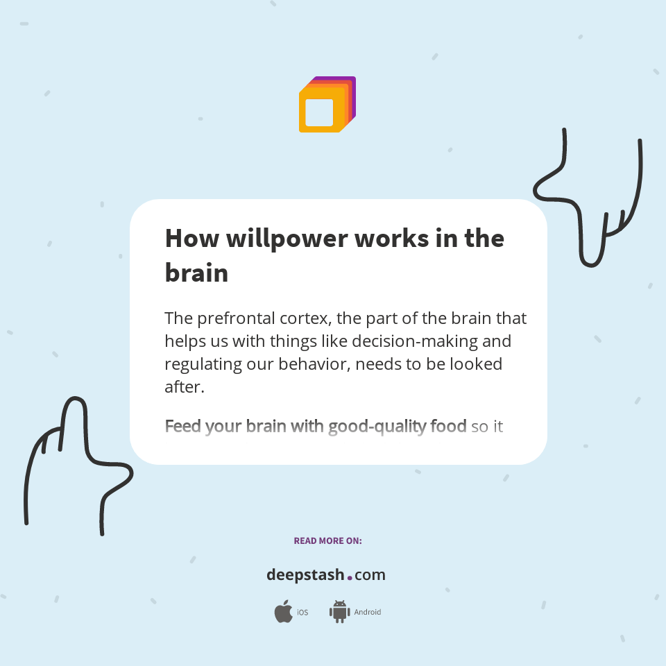 How willpower works in the brain - Deepstash
