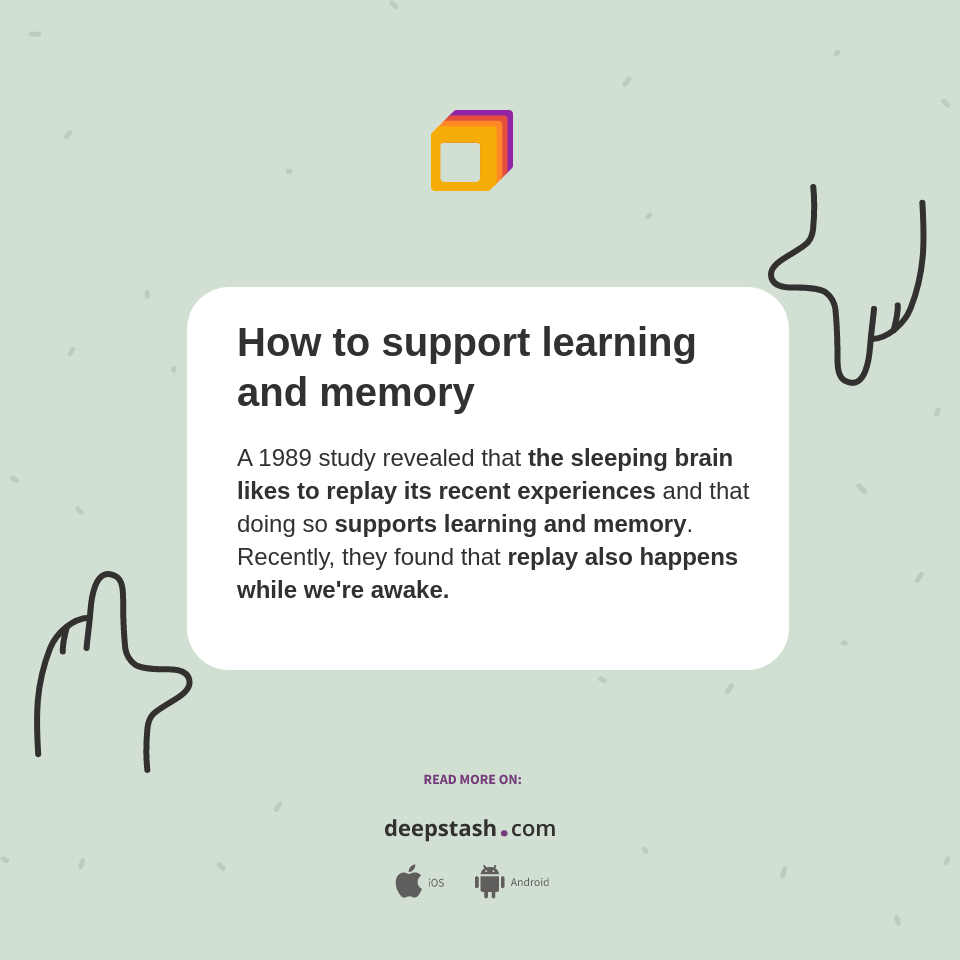 How to support learning and memory - Deepstash