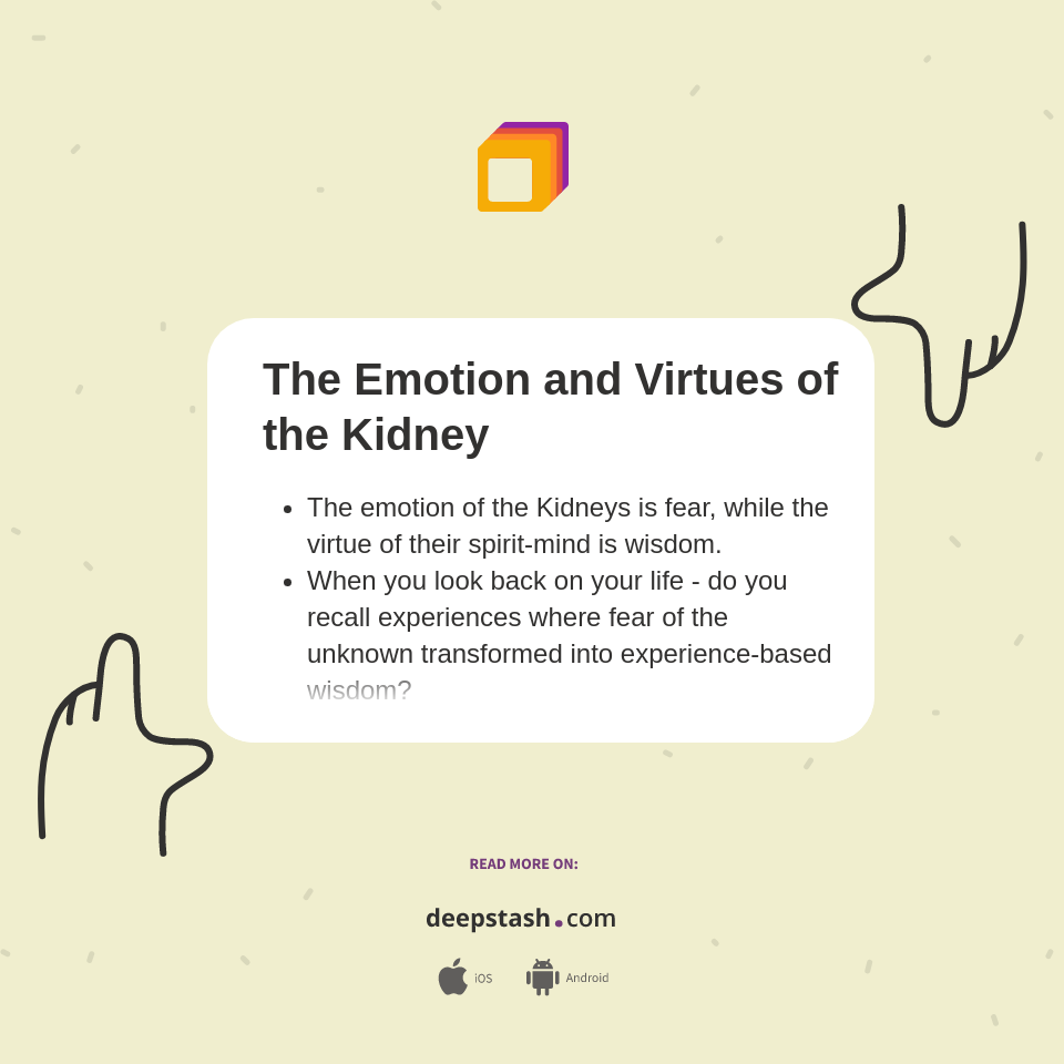 The Emotion and Virtues of the Kidney - Deepstash