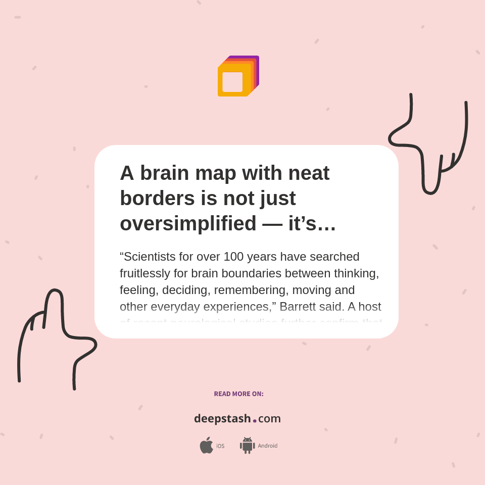 A brain map with neat borders is not just oversimplified — it’s ...