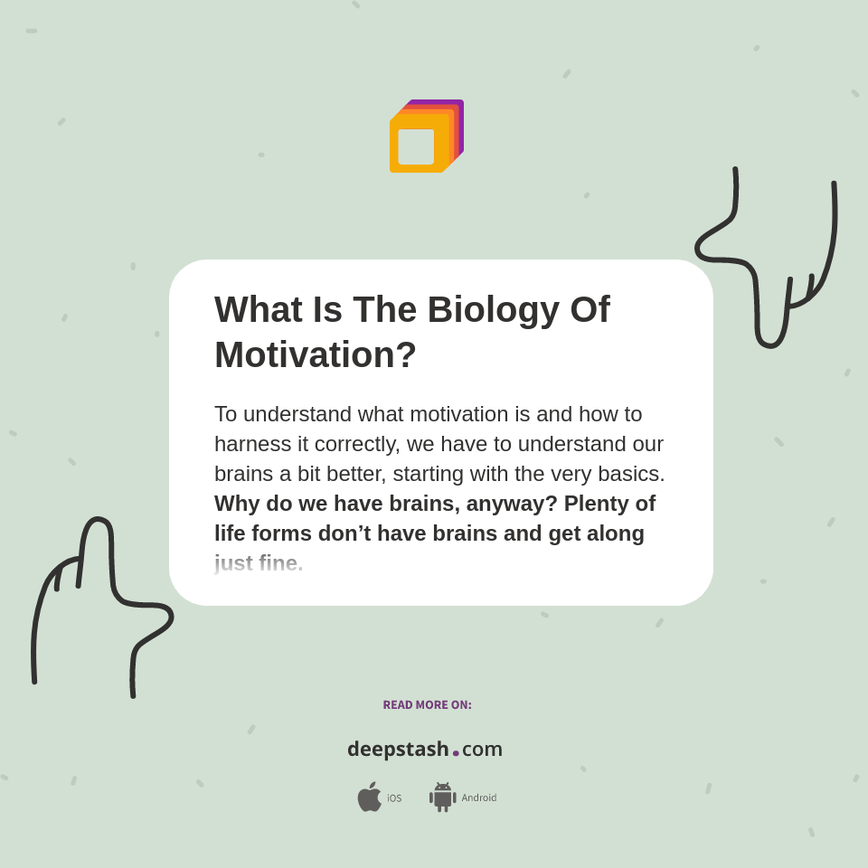 What Is The Biology Of Motivation? - Deepstash