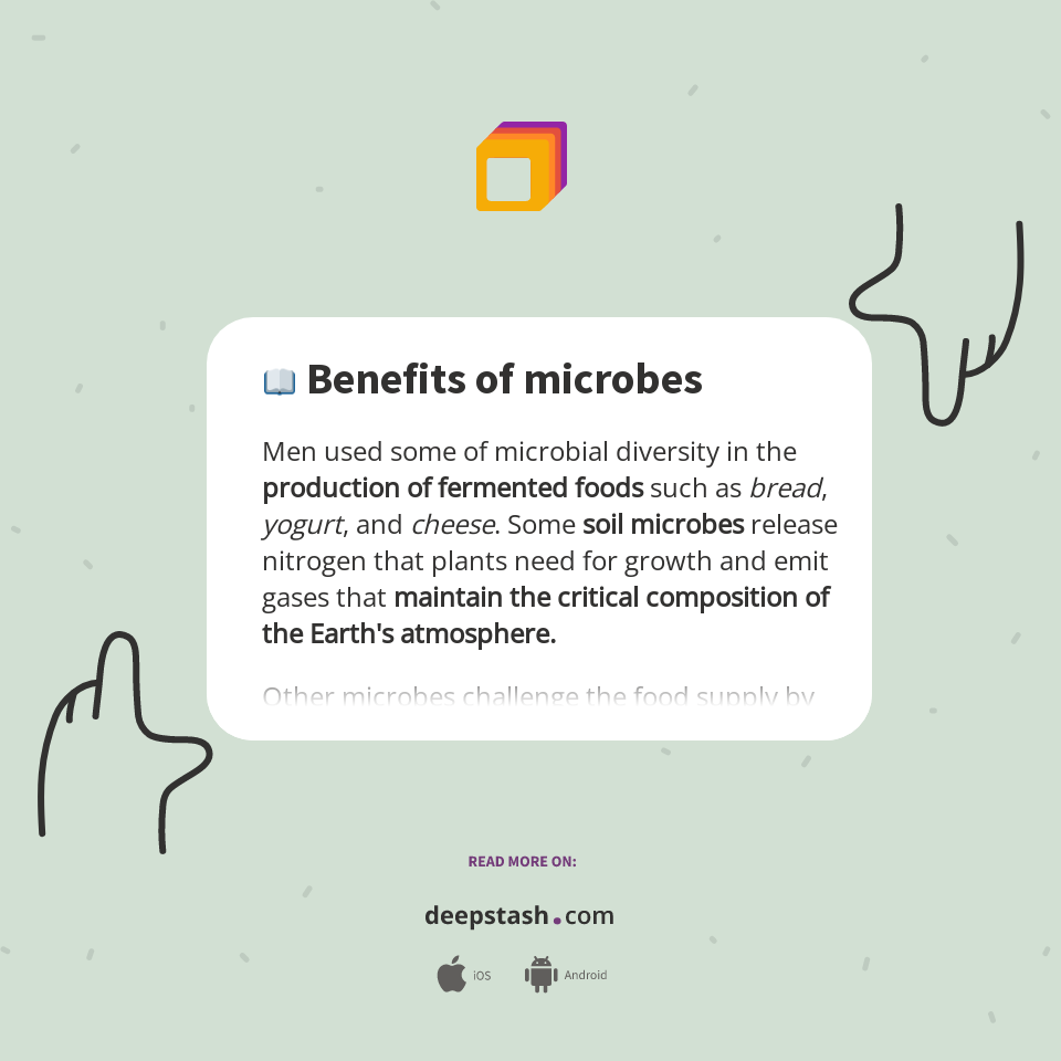 📖 Benefits of microbes - Deepstash