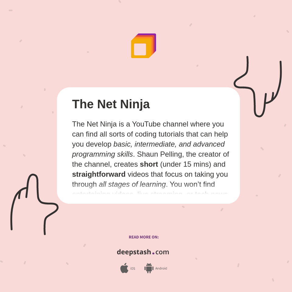 The Net Ninja - Deepstash