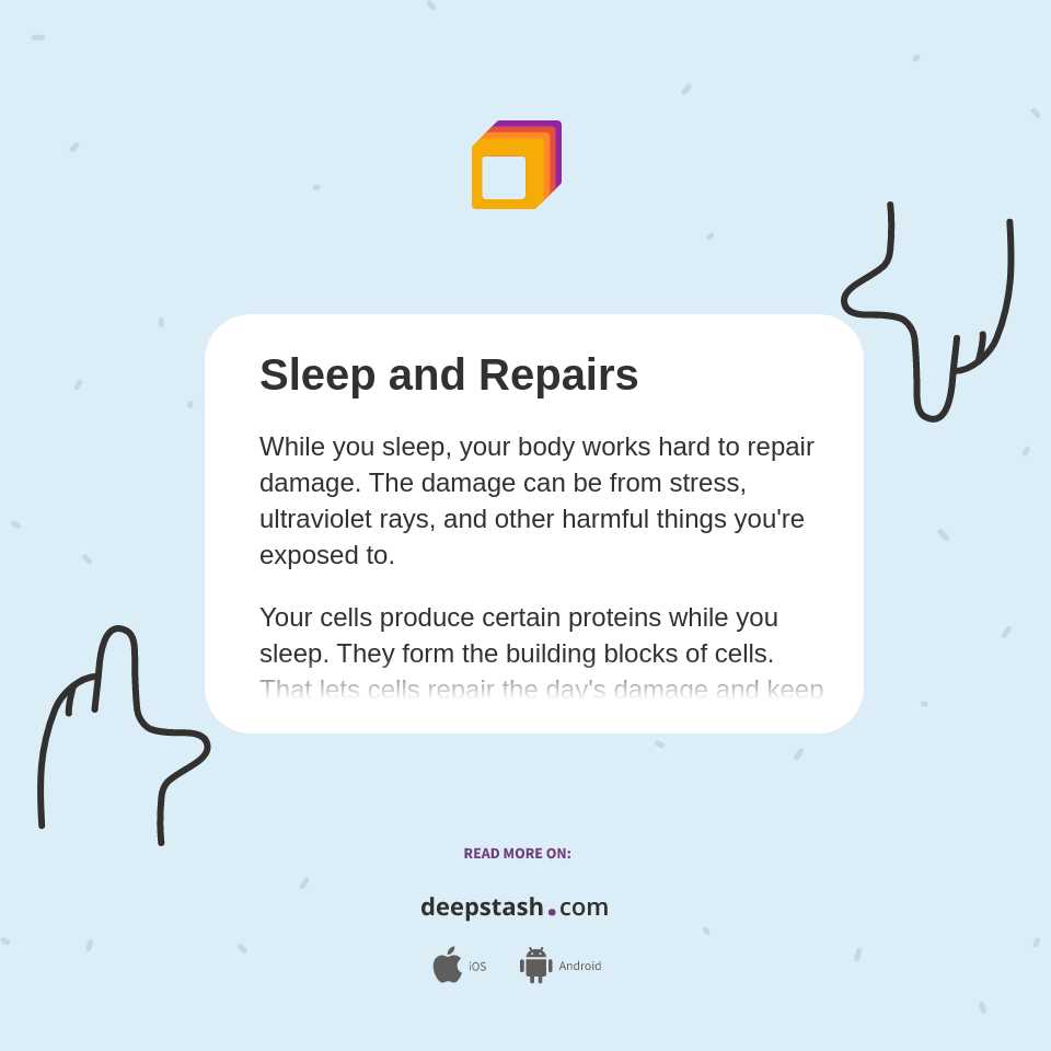 Sleep and Repairs - Deepstash