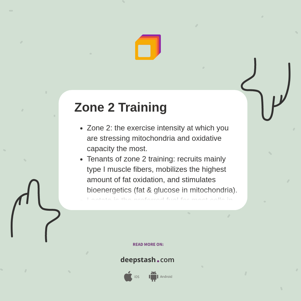 Zone 2 Training - Deepstash