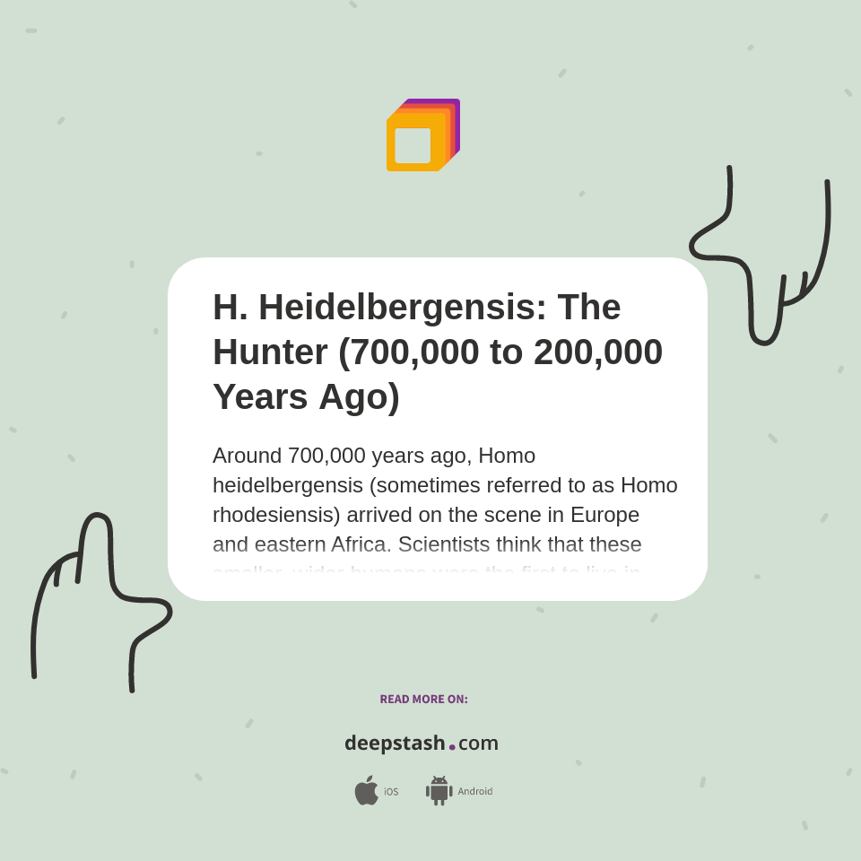 H. Heidelbergensis: The Hunter (700,000 to 200,000 Years Ago) - Deepstash