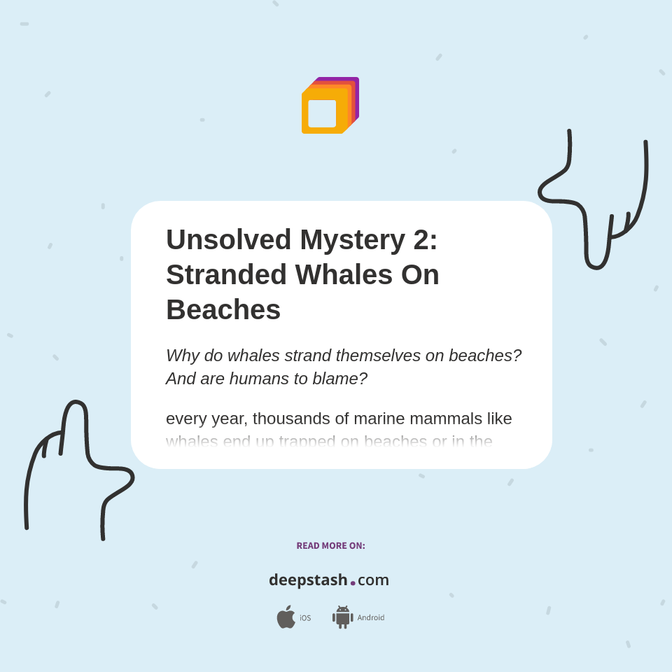 Unsolved Mystery 2: Stranded Whales On Beaches - Deepstash