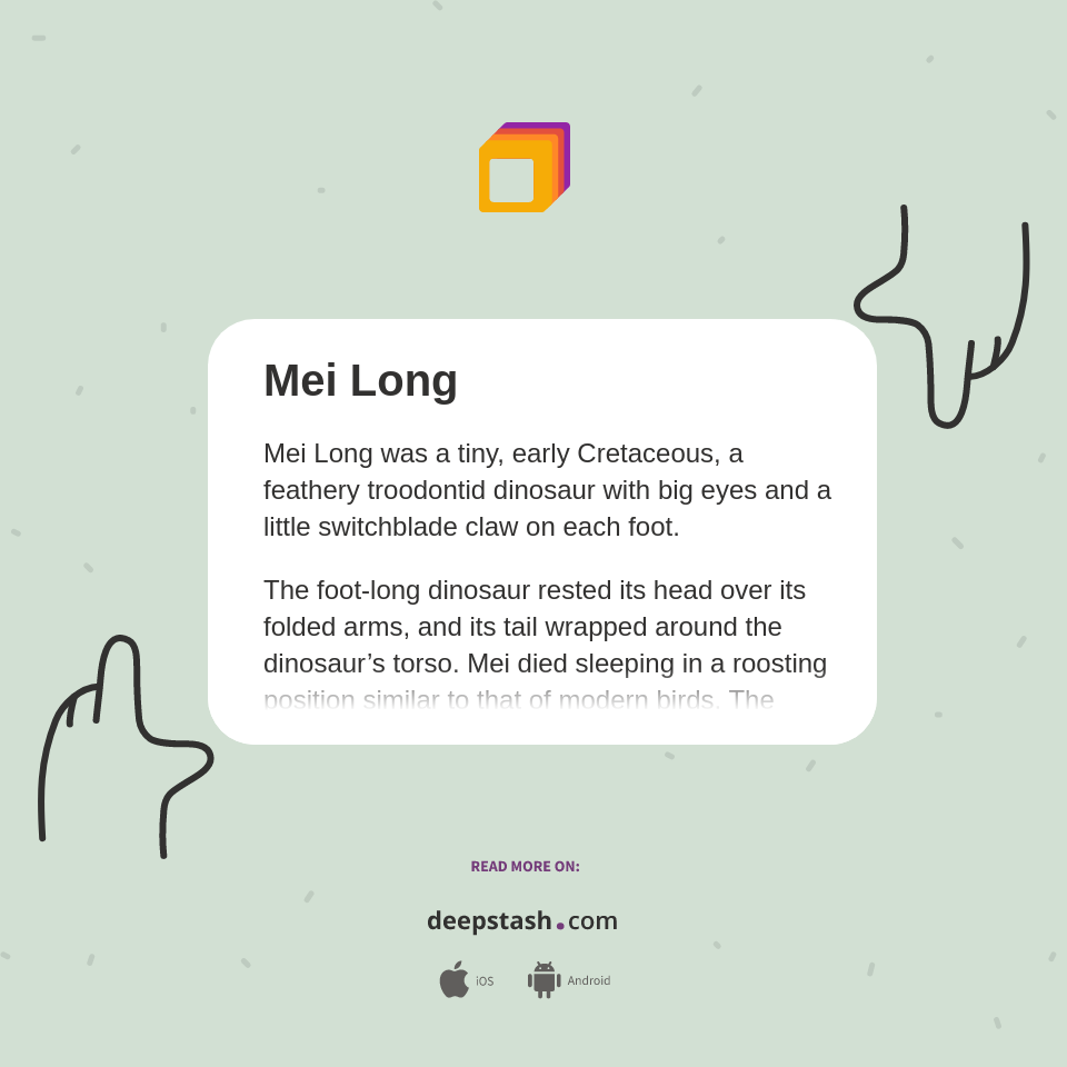 Mei Long - Deepstash