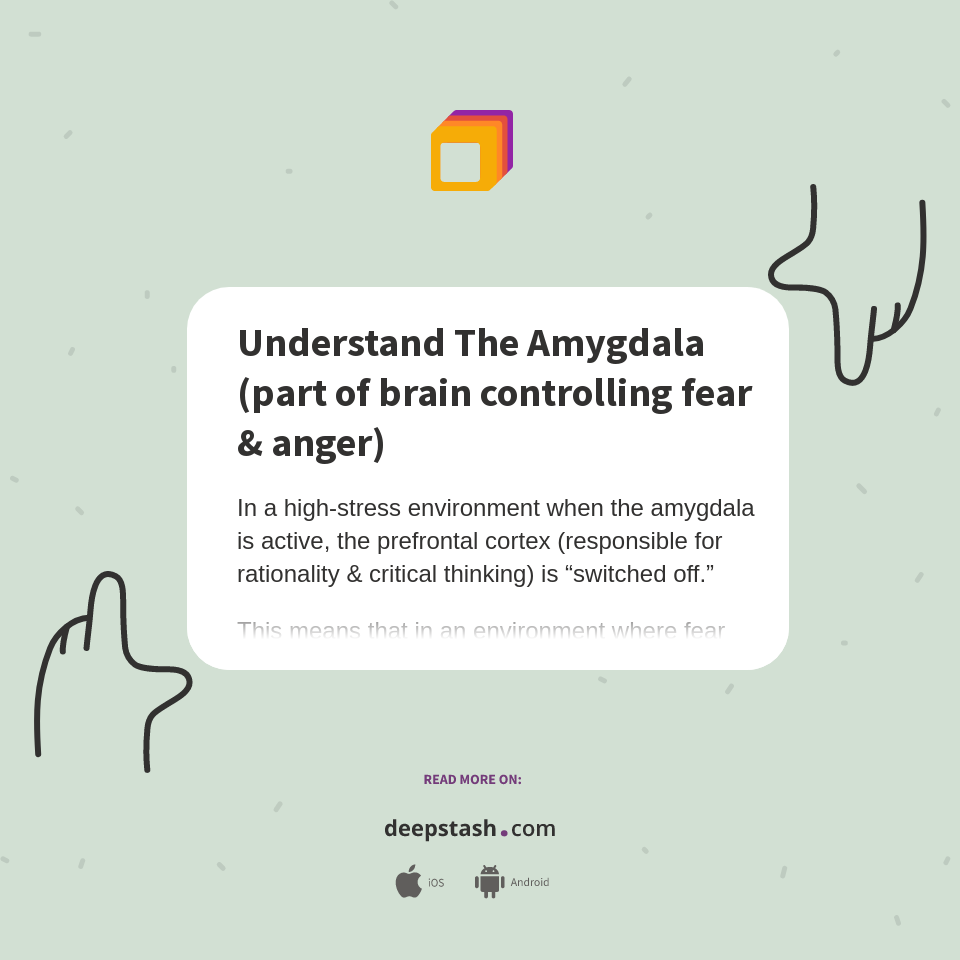 Understand The Amygdala (part of brain controlling fear & anger ...