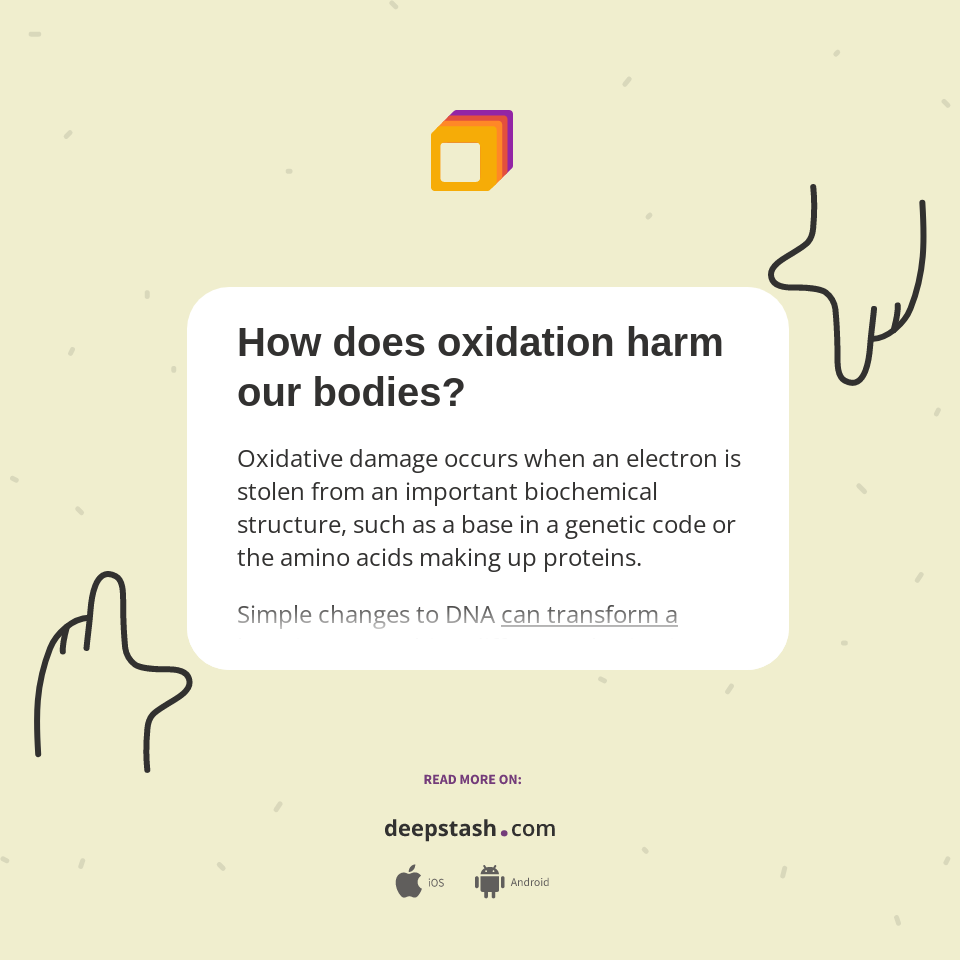 How does oxidation harm our bodies? - Deepstash