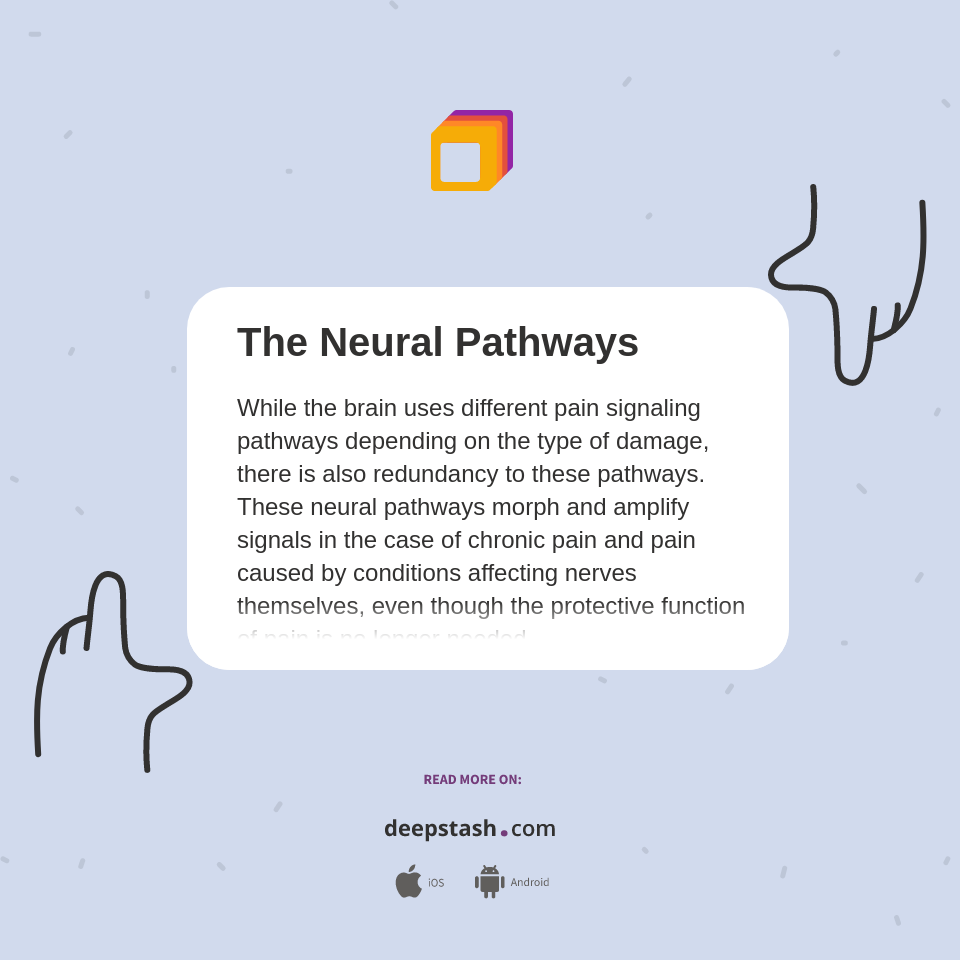 The Neural Pathways - Deepstash