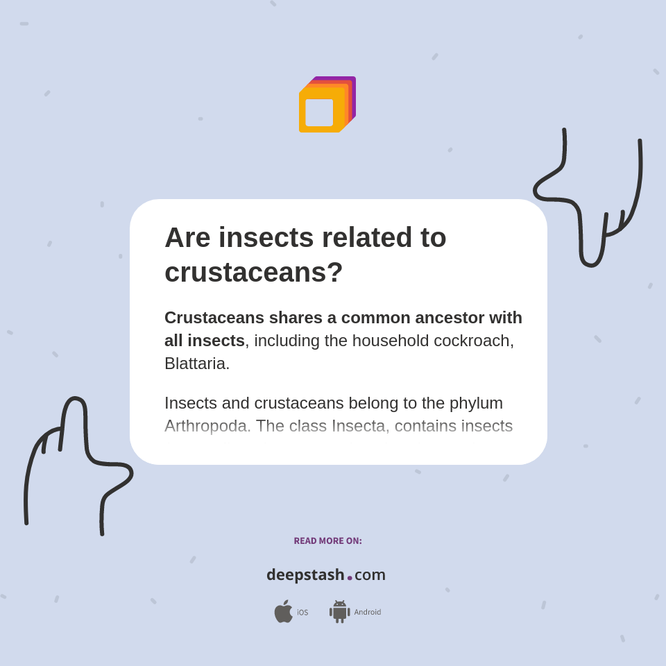 Are insects related to crustaceans? - Deepstash