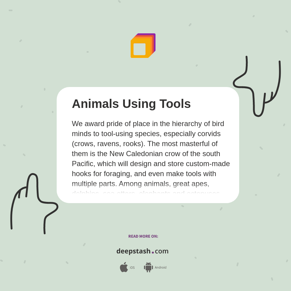 Animals Using Tools - Deepstash