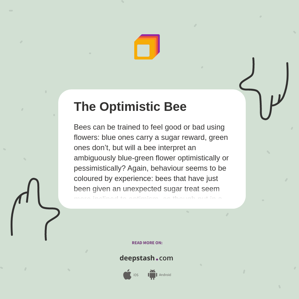 The Optimistic Bee - Deepstash