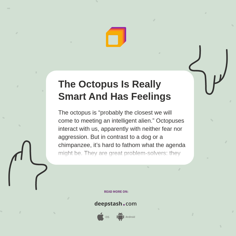 The Octopus Is Really Smart And Has Feelings - Deepstash