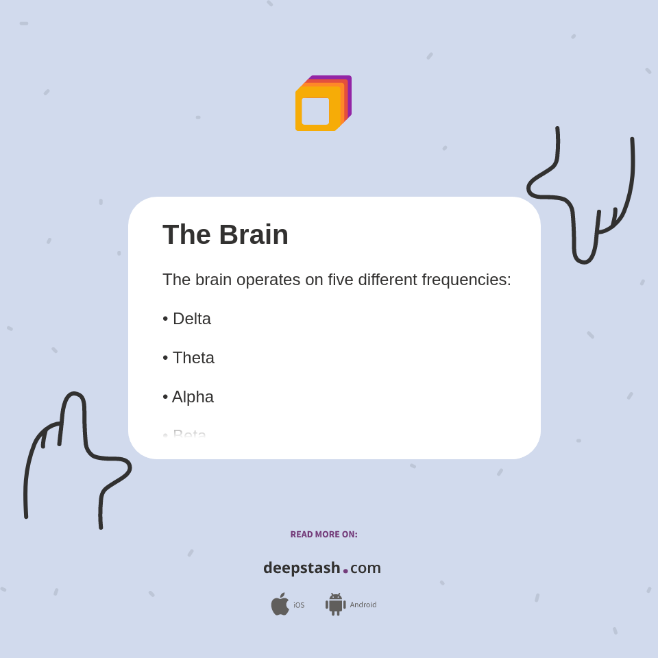 The Brain - Deepstash