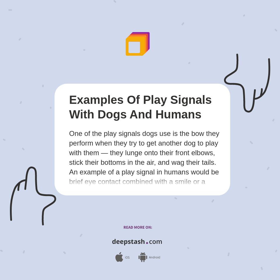 Examples Of Play Signals With Dogs And Humans - Deepstash