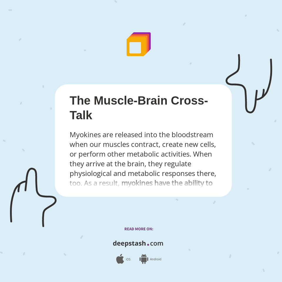 The Muscle-Brain Cross-Talk - Deepstash