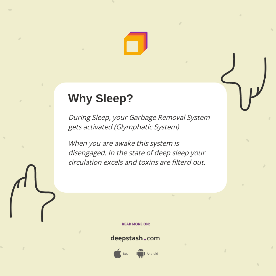 Why Sleep? - Deepstash