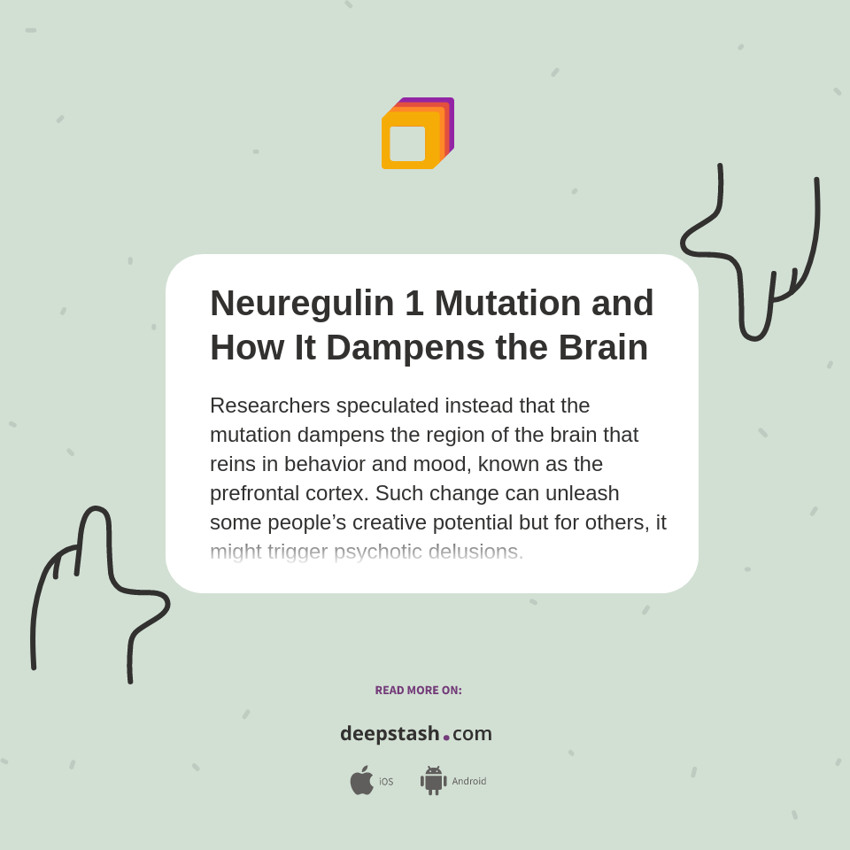 Neuregulin 1 Mutation and How It Dampens the Brain - Deepstash