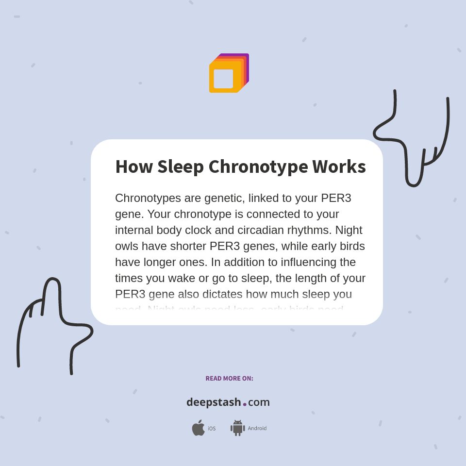 How Sleep Chronotype Works - Deepstash