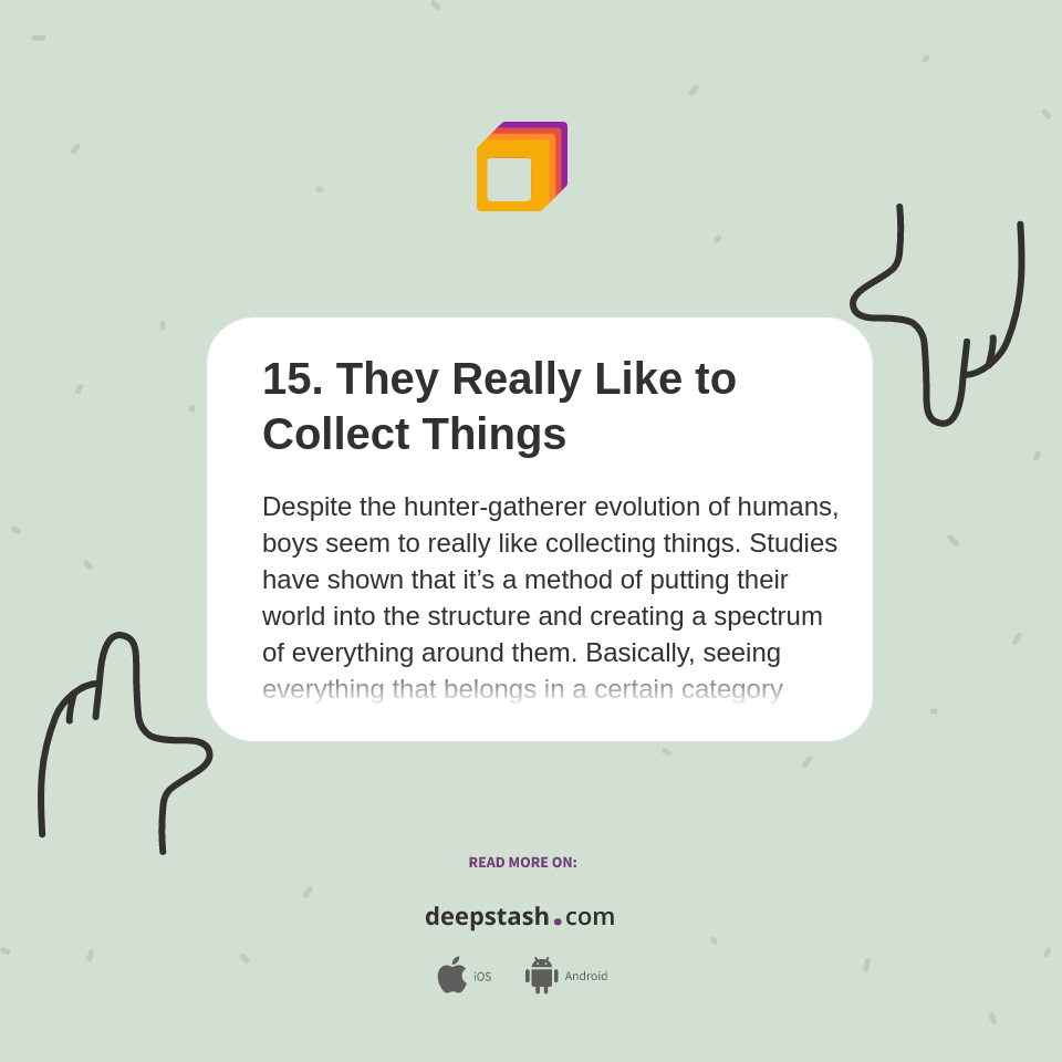 15. They Really Like to Collect Things - Deepstash