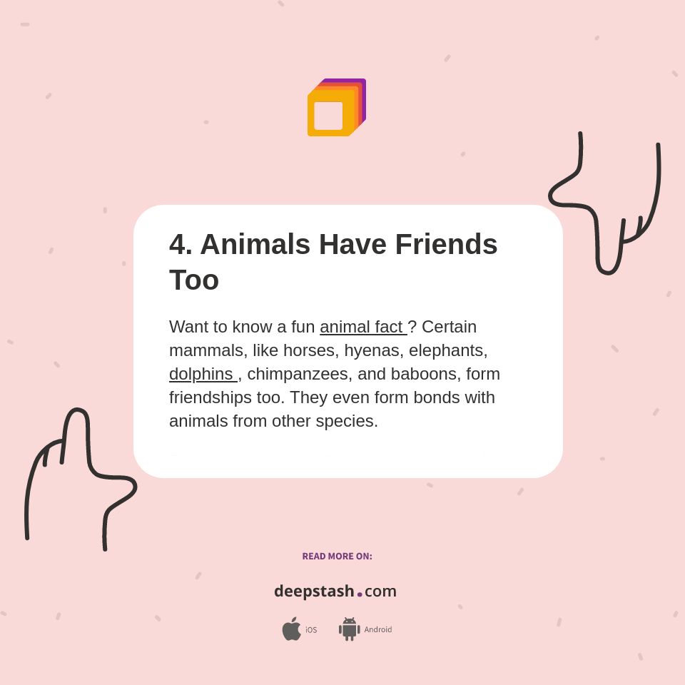 4. Animals Have Friends Too - Deepstash